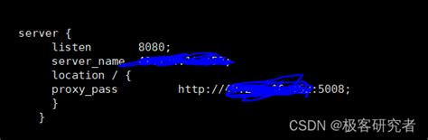 将 Core程序部署到linux服务器上2 以守护进程方式netcore Api 启动防火墙打开 Csdn博客