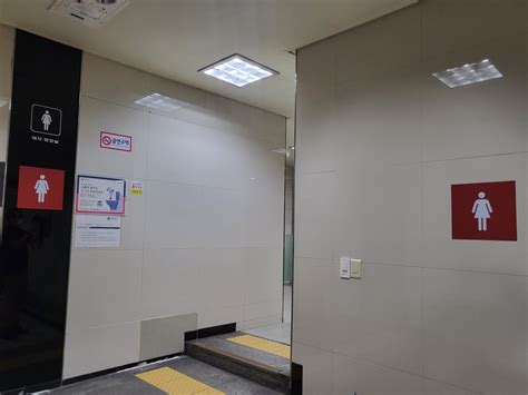 동료 스토킹하다 직위해제신당역 역무원 살해 30대 영장 헤럴드경제