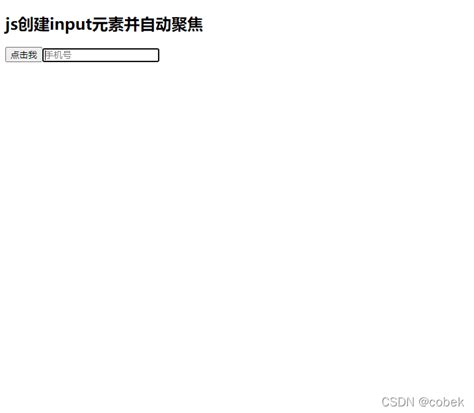 Js动态创建input元素并自动获取焦点js Input自动聚焦 Csdn博客