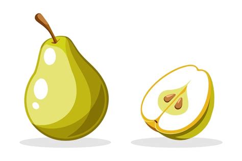 Premium Vector Pear Pears Fruit Many Angles And Side Views Flat