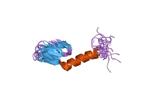 Bacteriocins