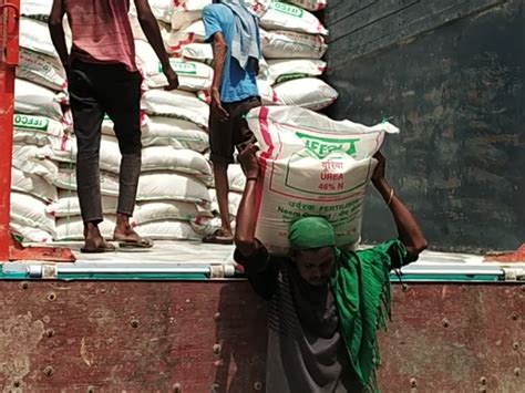 Farmers Are Doing Advance Lifting Till Now 38 Percent Fertilizer Has