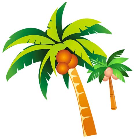 ฤดูร้อนมะพร้าวพื้นหลังโปร่งใส Png