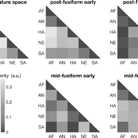 Representational Similarity Analysis Rsa Between The Facial Feature Download Scientific