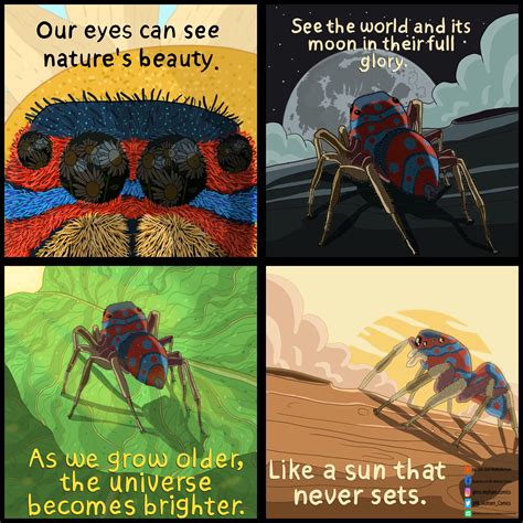 Oc Umwelt The Jumping Spider The Full Comic Is In The Comments R
