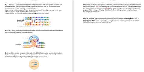 Here Is An Updated Version Of The Image Of This Chegg Com