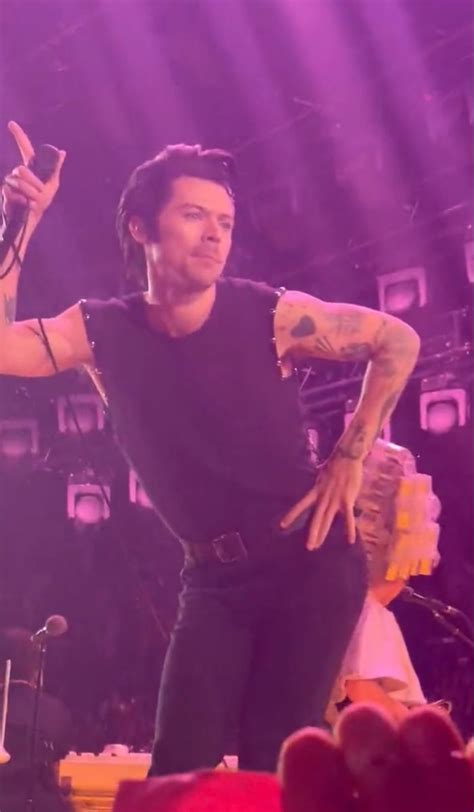 Harry Styles As Danny Zuko Danny Zuko Love On Tour Harry Styles