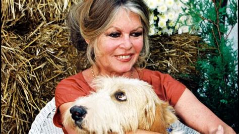 Photo Brigitte Bardot Fête Son Anniversaire Purepeople