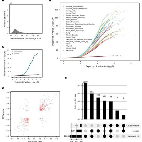 Cis Eqtl Mapping Of Vntr Motifs A Distribution Of Motif Mape For