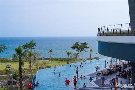 파르나스 제주 호텔 추천 수영장 조식 신관 본관 객실 비교 후기 네이버 블로그