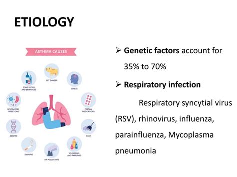 Asthma Etiology Risk Factors Pathophysiology And Its Management