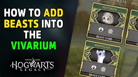 How To Release Beasts Into The Vivarium What Key To Use On PC