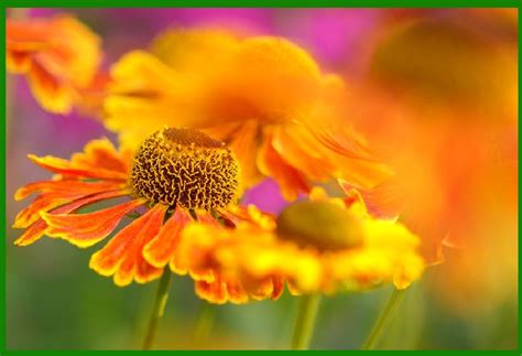 Barcode Label Design Software Labelzone