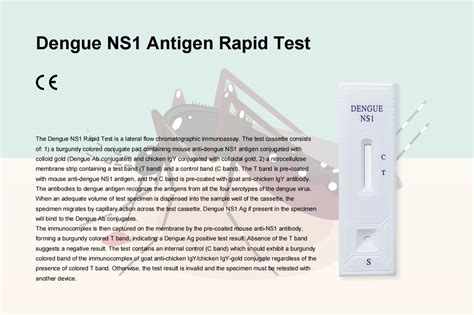 Dengue Ns1 Antigen Rapid Test