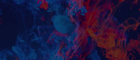 Lambdanets Contact Us