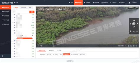 在Vue3中如何使用H 265视频流媒体播放器EasyPlayer js