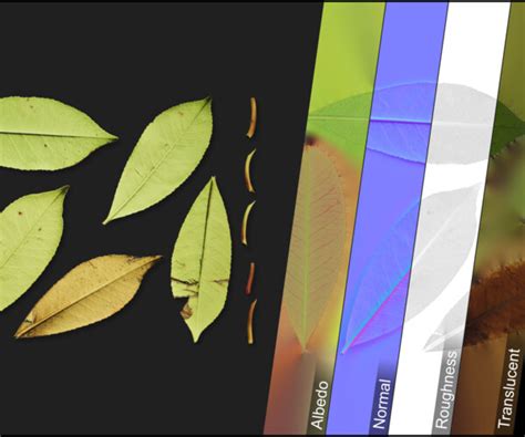 Artstation Photometric Scan Vegetation Grass Nerium Oleander Leave 3 Game Assets