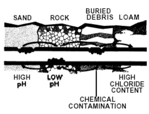 Another Example Ofa Galvanic Cell Is Evidenced On Pil Ing