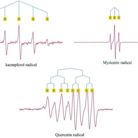 ESR Spectra Of Flavonol Radicals With The Protons Causing Hyperfine