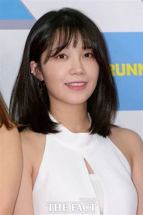 에이핑크 정은지 스토커 고소 최근 자택까지 찾아와 연예 기사 더팩트