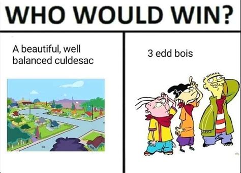 100 Funniest Ed Edd N Eddy Memes From The Cul De Sac Fandomspot