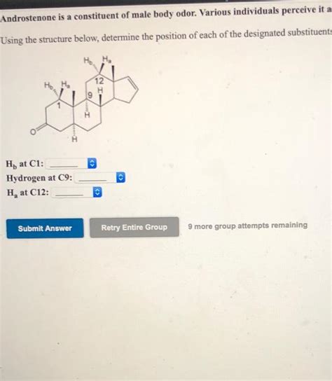 Solved Review Topics Androsterone Along With Testosterone