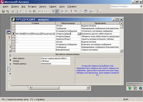 Access Vba Access