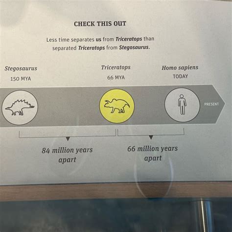 Dinosaurs Datavisualization Charles M