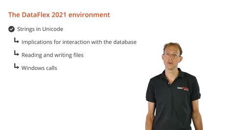 Dflc Lesson The Dataflex Environment