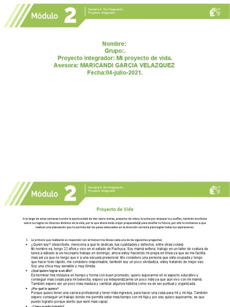 M2s4pi Proyecto Integrador Modulo 2 Pdf Internet