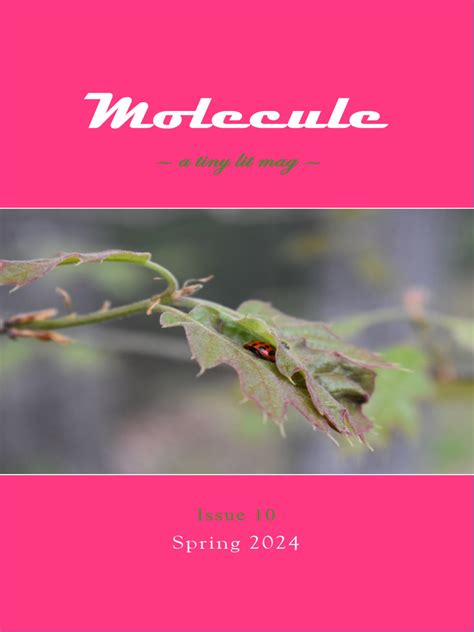 Molecule A Tiny Lit Mag Issue 10 Spring 2024 Pdf