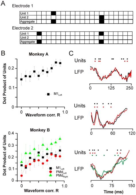 Similarity In Temporal Pattern Of Unit Activity Increases With Waveform Download Scientific