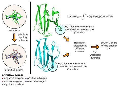 The Groundbreaking Method For Protein Structure Comparison Sci Spies