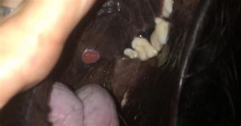 Ulcer Roof Of Mouth Album On Imgur