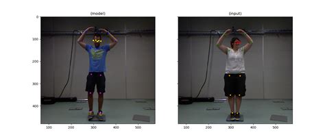 Single Pose Comparison — A Fun Application Using Human Pose Estimation Part 2 By Bilgeckers