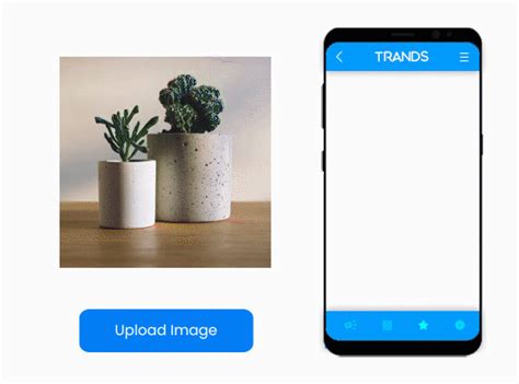 Auto Background Removal Api For Developers