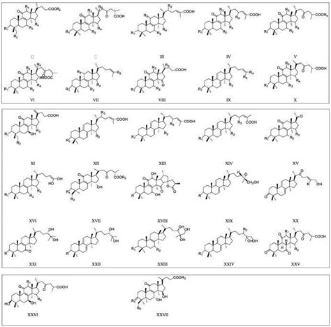 Skeletal Types Of Ganoderma Triterpenoids In G Lucidum Download Scientific Diagram
