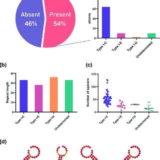 Visualization Of Representative CRISPR Cas Loci Different Cas Genes Download Scientific