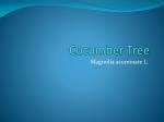 Ppt Integrating Cucumber With Selenium Powerpoint Presentation Free