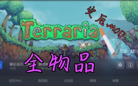 Terraria灾厄MOD全物品建造过程 3 哔哩哔哩 bilibili