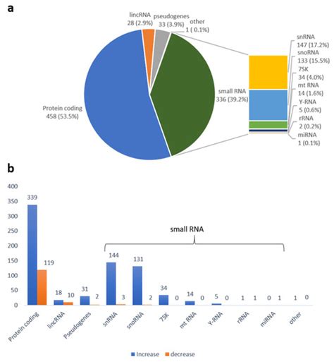 Protein Coding Region Derived Small Rna In Exosomes From Influenza A Virusinfected Cells