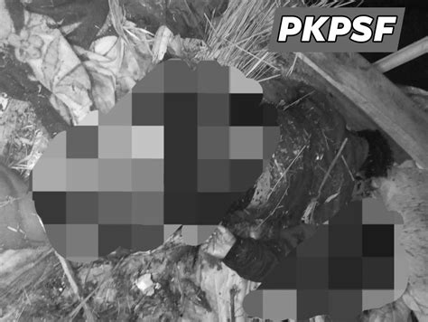 Khit ဖယ်ခုံမြို့ ရှိ စစ်ရှောင်စခန်း ၂ ခုကို စစ်တပ်က လေယာဉ်ဖြင့် ဗုံးက