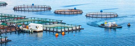 Aquaculture Pictures