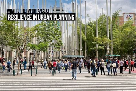 What Is The Importance Of Resilience In Urban Planning Rtf Rethinking The Future