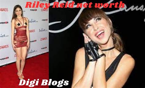 Riley Reid Net Worth Career And Personal Insights