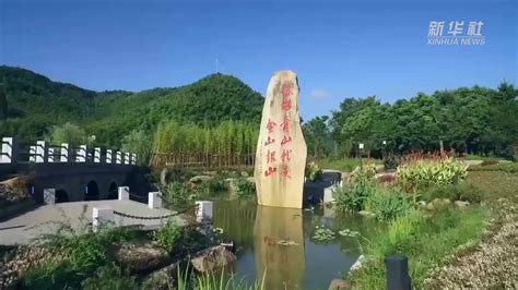 浙江安吉 青年入乡”新观察凤凰网视频凤凰网
