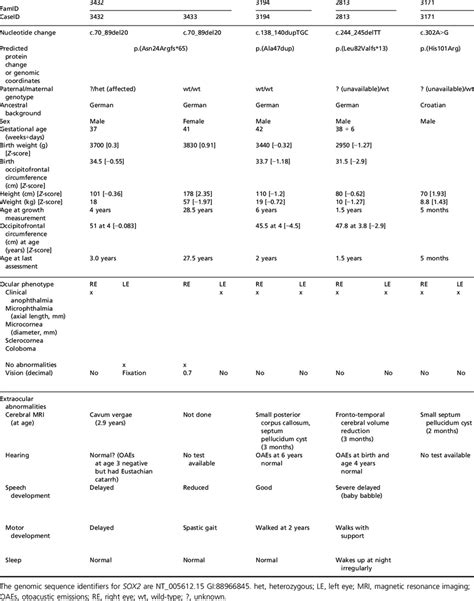 Phenotype In Patients With Mutation In Sox2 Gene Download Table