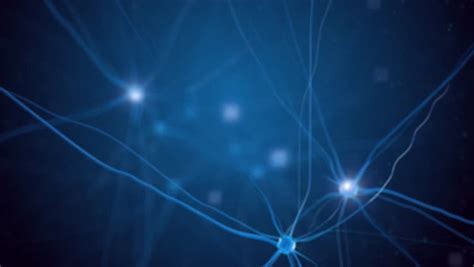 Fly Through Neuron Cells Loop Stock Footage Video 100 Royalty Free