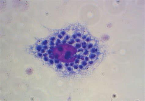 Ben Leeming Posted On Linkedin