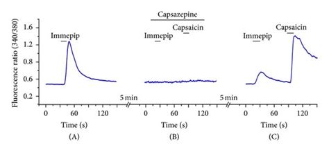 The Effects Of Trpv1 Antagonist Capsazepine On The Immepip Induced